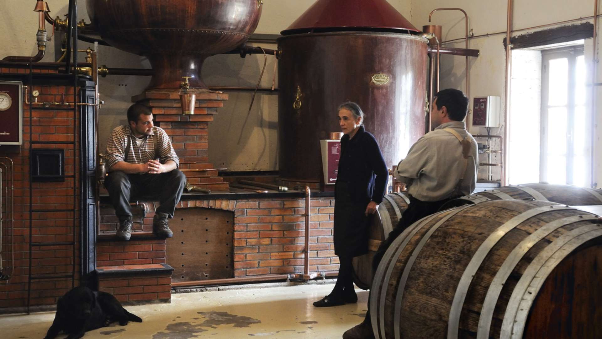 Les 6 crus du Cognac : carte, terroirs et différences de style – Vinodelice